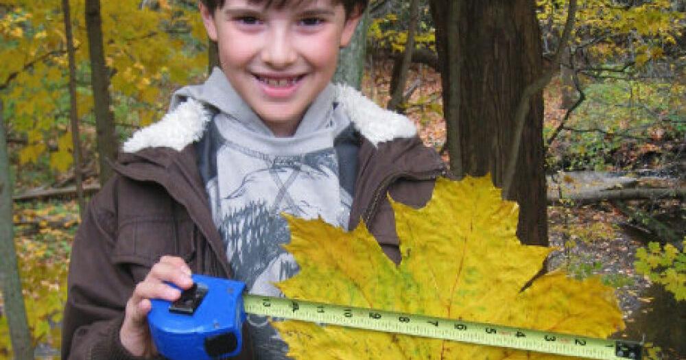 Pickering boy’s giant maple leaf gets Guinness World Record