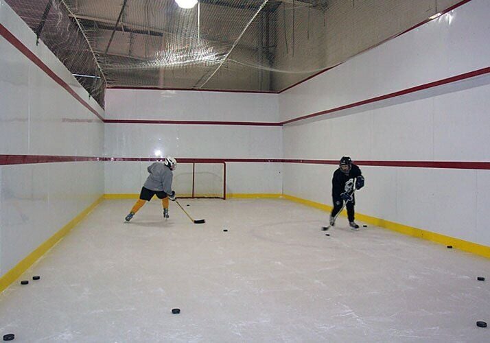 Barry and Honey Sherman honoured with Vaughan hockey arena