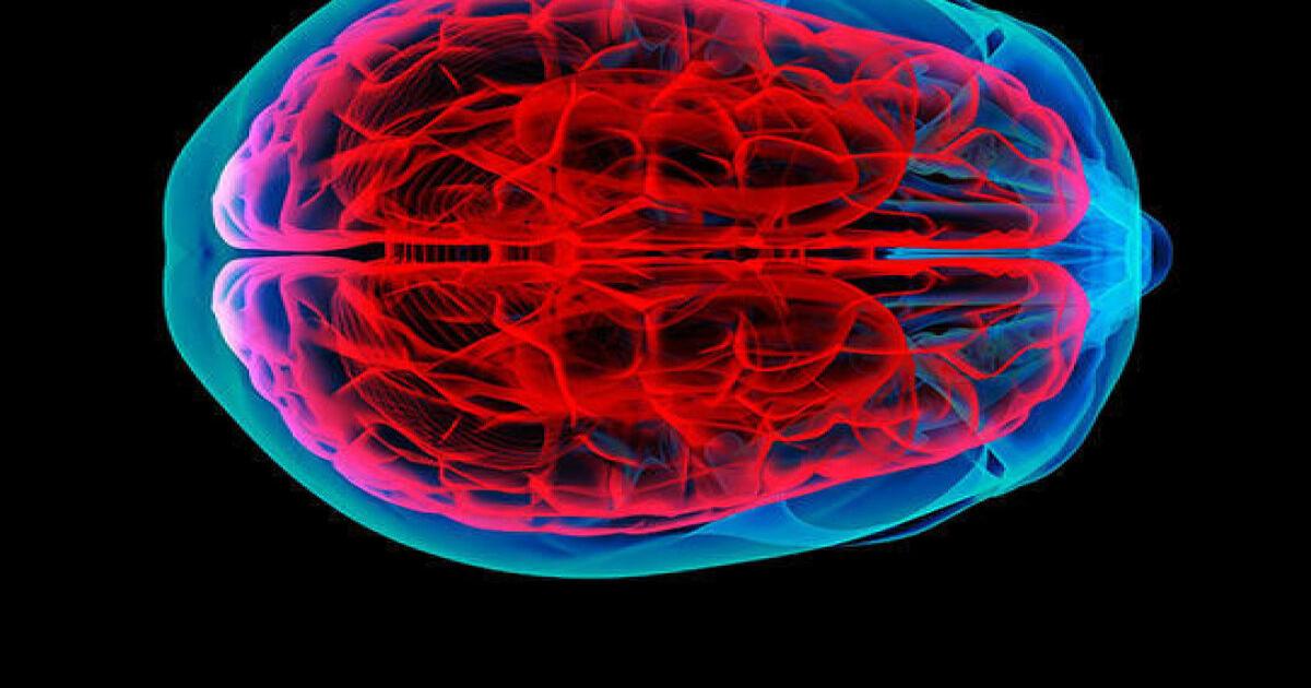 Common toxins make big difference in brain development