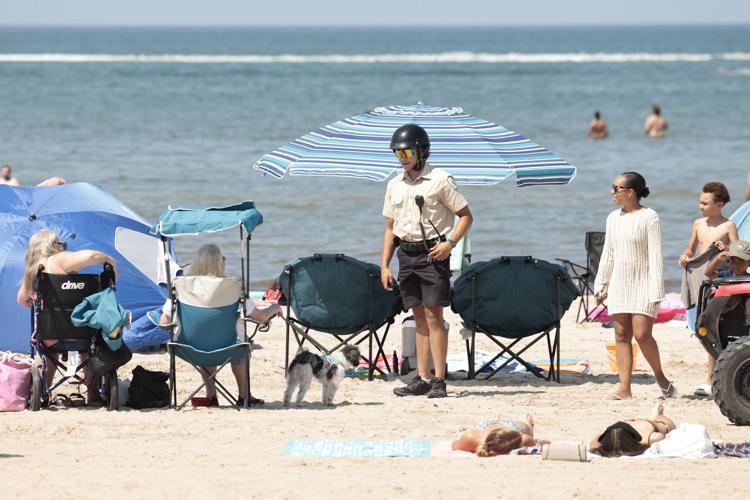 What’s behind the rumours about pooping at Wasaga Beach