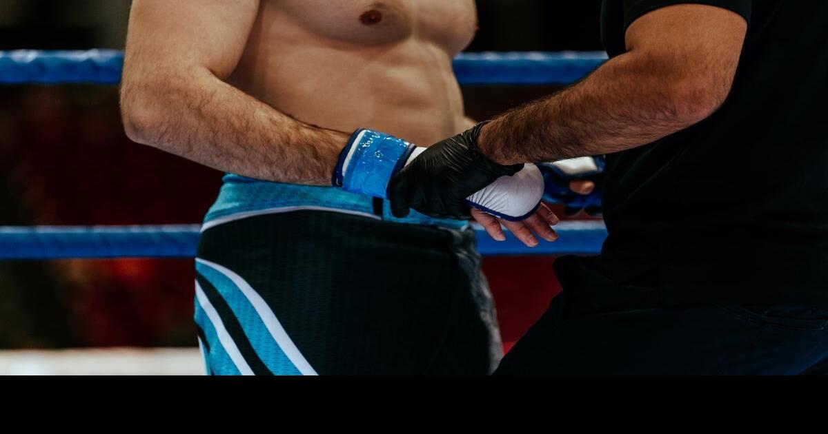 Winnipeg bantamweight Brad Katona to fight at UFC 231 in Toronto