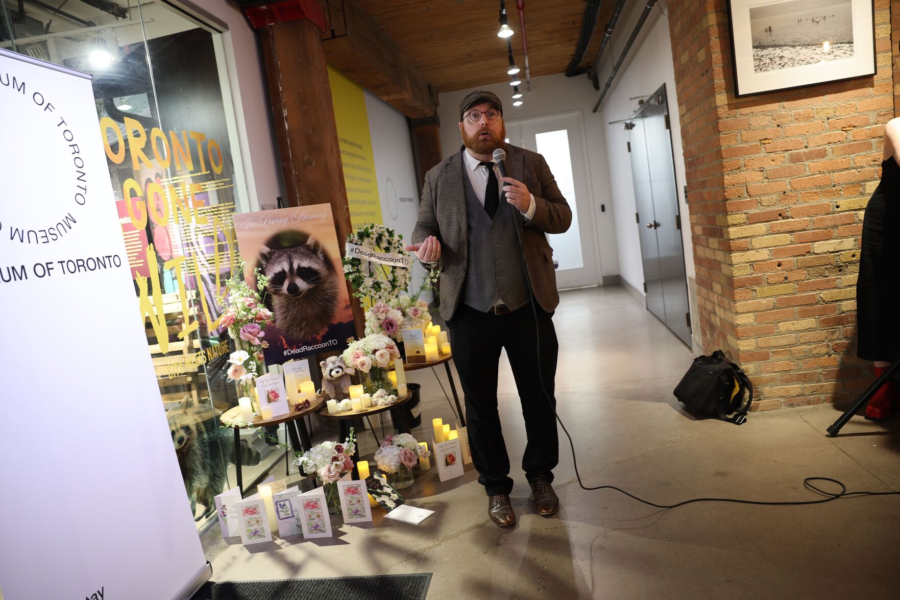 Bring on the fanfare for Conrad the Raccoon!