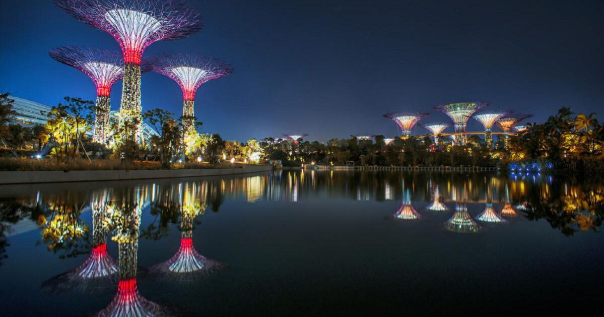 Singapore’s man-made ‘Supertrees’ flourish amongst city’s concrete jungle