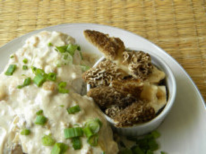 Chicken with morels
