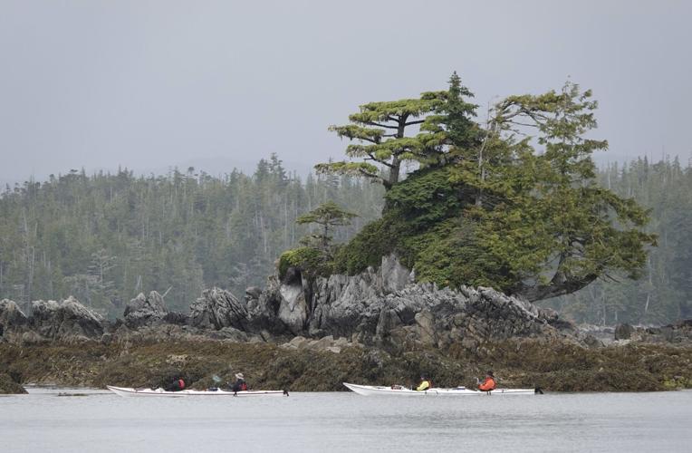 At age 66, I signed up for a multi-day kayaking adventure