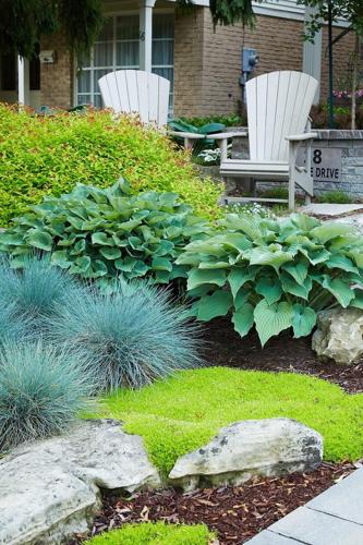 Here’s how to grow your front yard garden