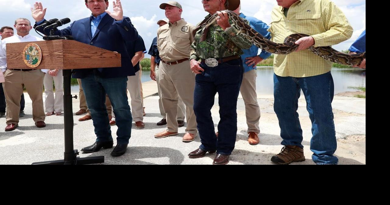 Florida doubles efforts to hunt invasive pythons