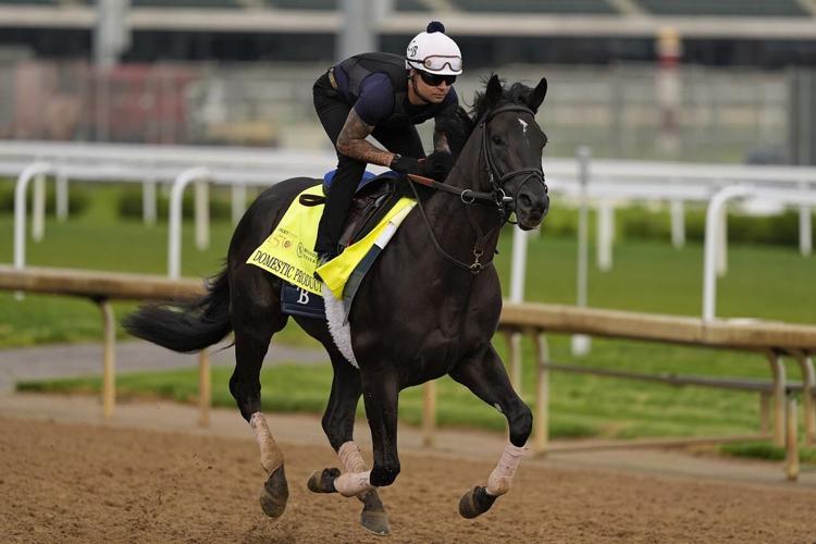 Trainer Chad Brown seeks first Kentucky Derby victory after coming ...