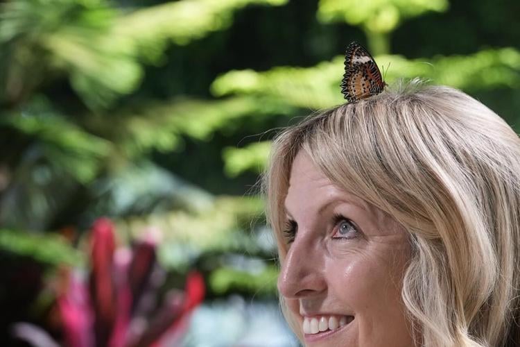 Ants march, whales swoop in Museum of Natural History update