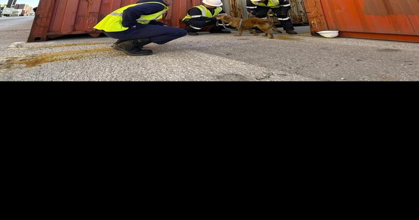 Dog rescued after more than a week trapped inside shipping container in ...