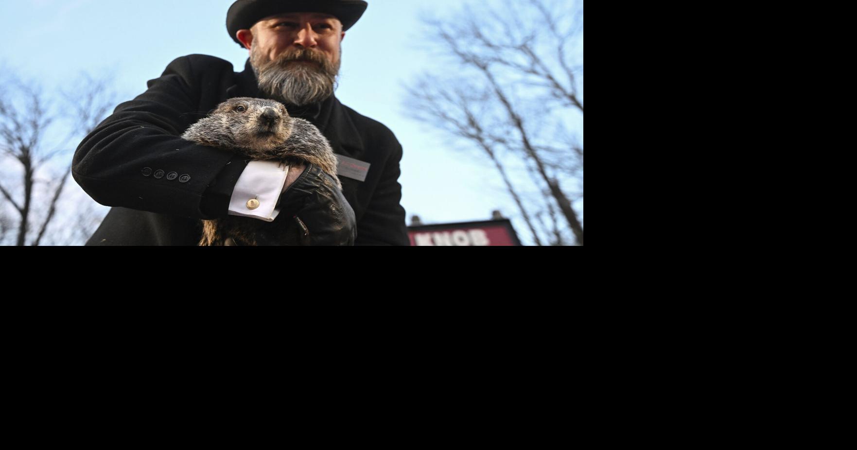 PETA wants cake, not Punxsutawney Phil on Groundhog Day