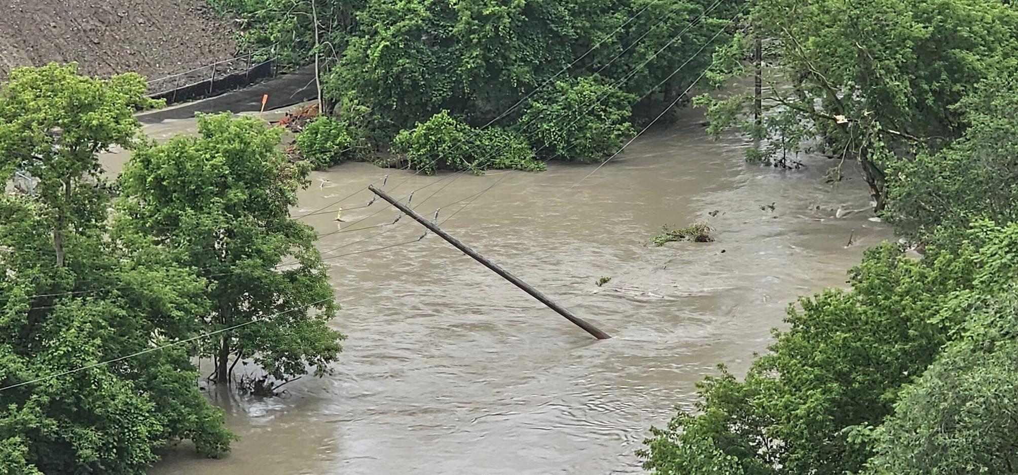 Storm devastated Don Valley, endangering Toronto wildlife