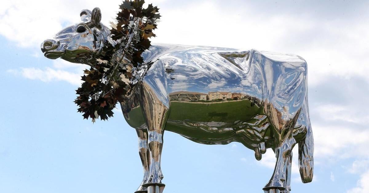 Judge clears way for unloved Markham cow statue to be removed