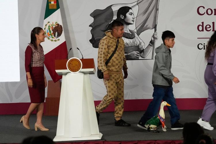 Merlin the duck steals the spotlight at President Sheinbaum's news briefing