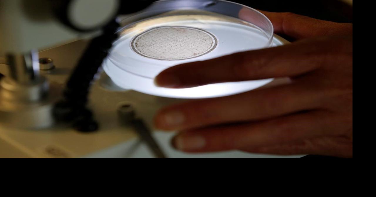 Scientists feel interference in research has lessened but still occurs ...