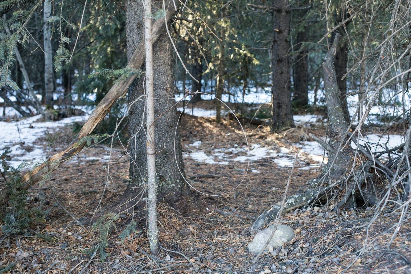 We thought we could move past this deadly snare for animals. We're ...