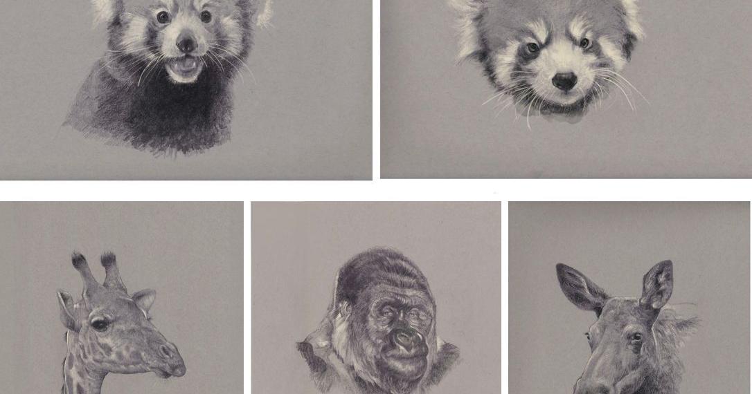 Eulogies for 5 animals who died at the Toronto Zoo in 2024
