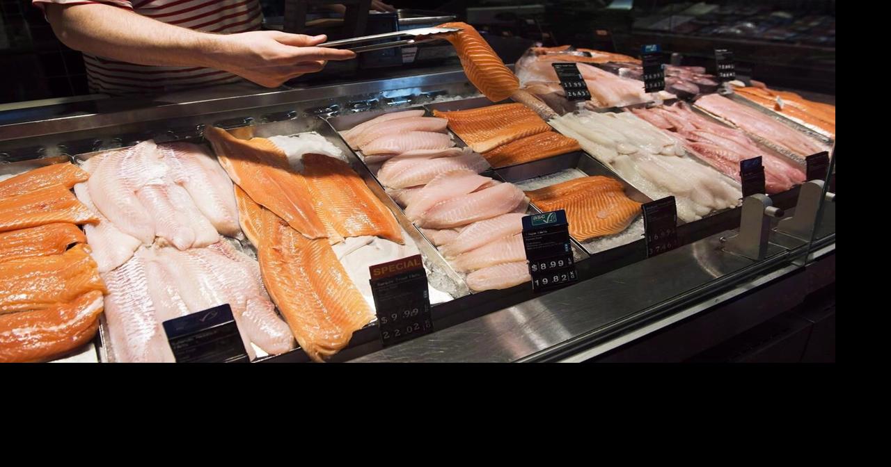 Seafood fraud common in Canada’s cities, Oceana Canada study finds