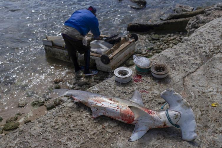 Ingenuity at sea: Cubans use makeshift rafts known as 'corchos' to ...