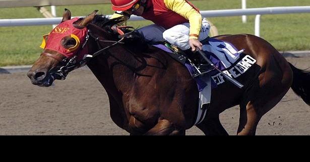 Science explains jockeys' posture