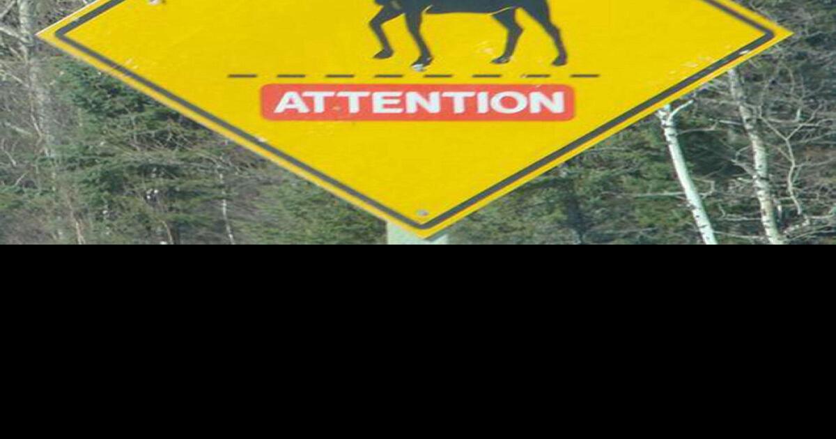 Can you decipher these Canadian road signs, eh?