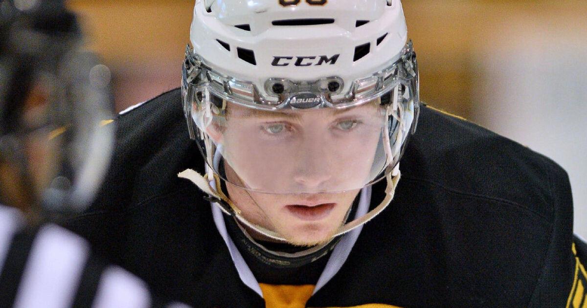 NHL combine: Pull-ups or not, top prospect Sam Bennett ‘pretty complete ...