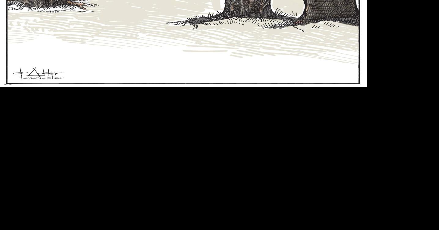 Michael de Adder: Conservative policies