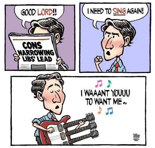 2022: The year in cartoons