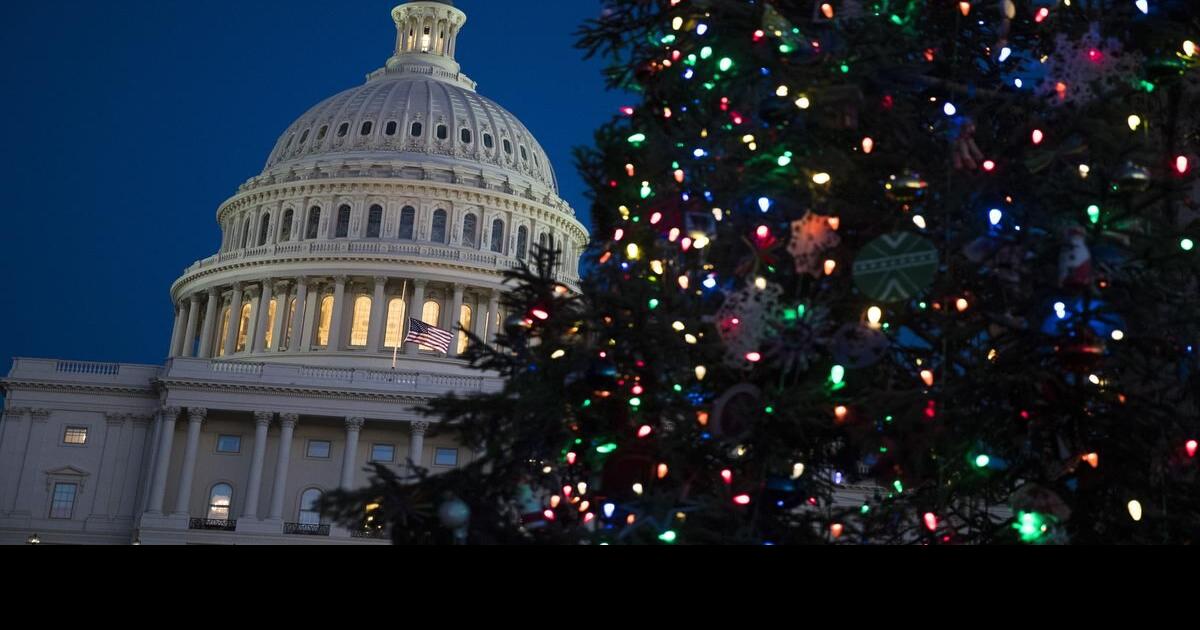 Senate approves bill to keep government running into 2019