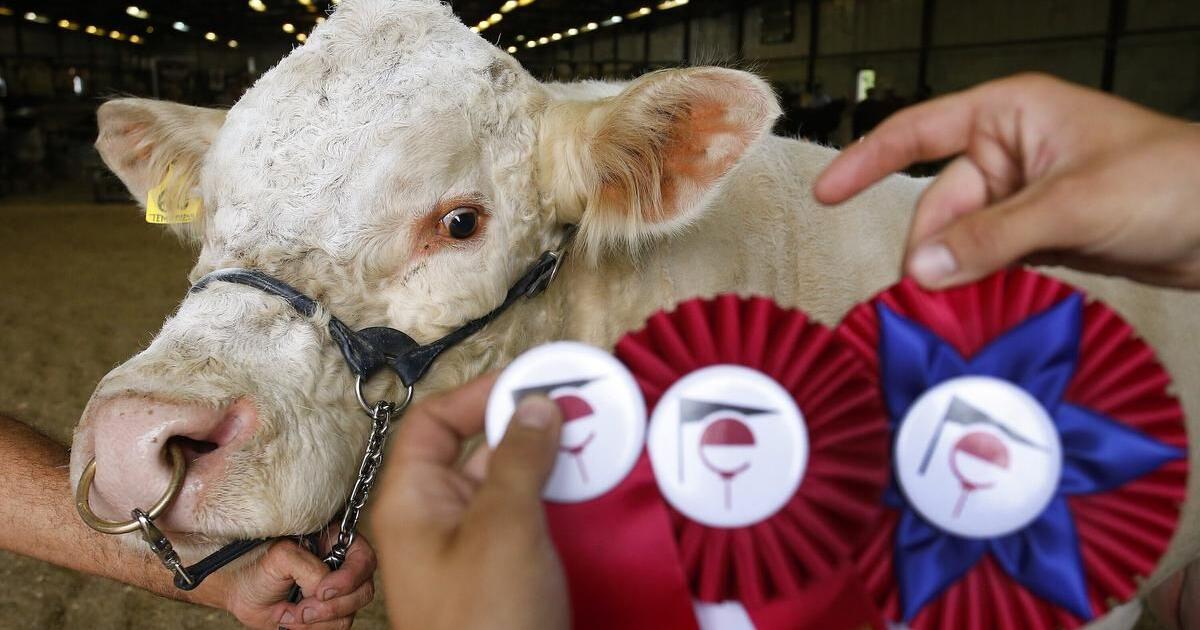 Peterborough Exhibition not relocating in 2023