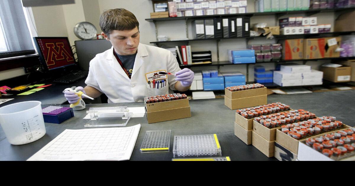 Swine feed tested as possible pig virus transmitter