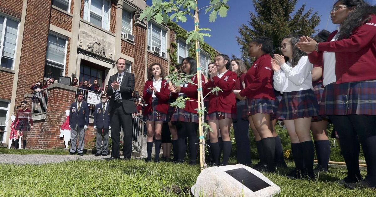 Vimy Ridge oak tree planted at Notre Dame High School in Toronto