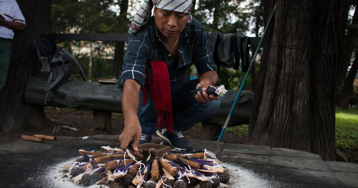 Searching for adventure in the lost kingdoms of the Maya