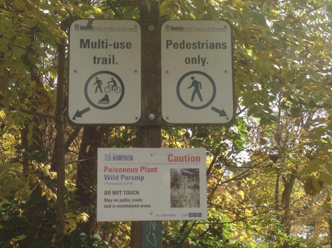 A walk with David Miller up the Humber River Valley