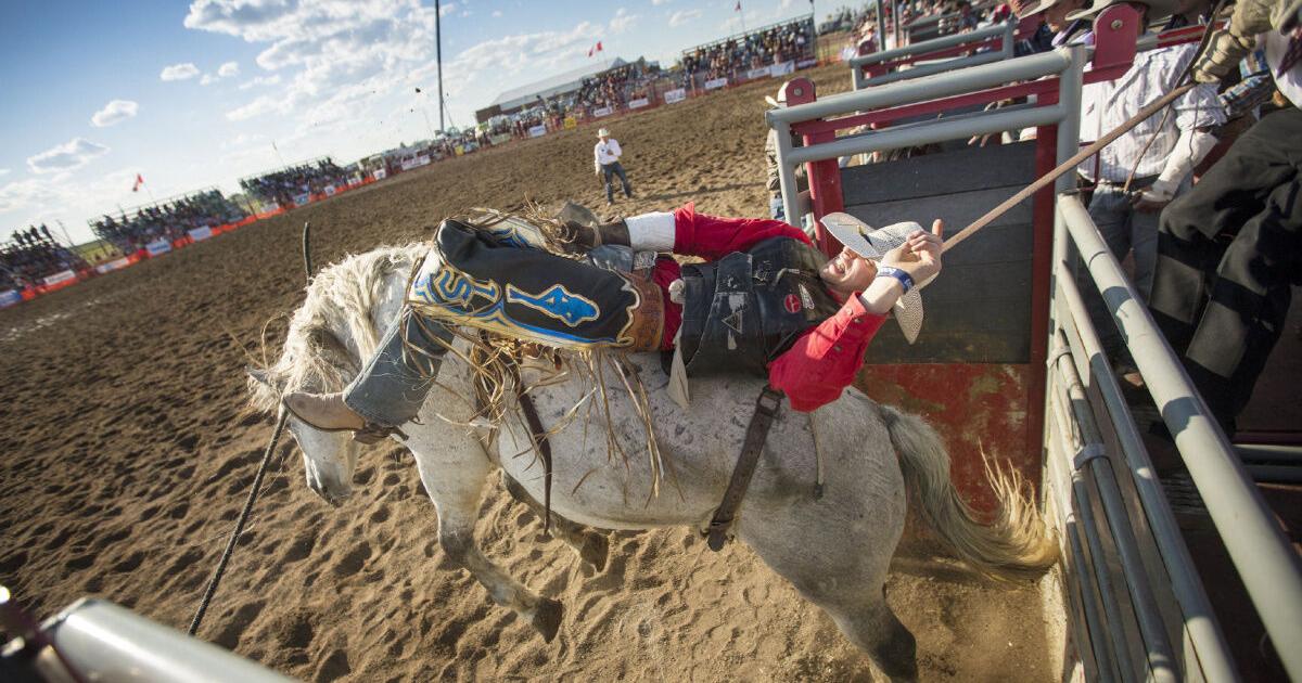 Summer in Alberta, small-town rodeos: Excitement in a small-town setting
