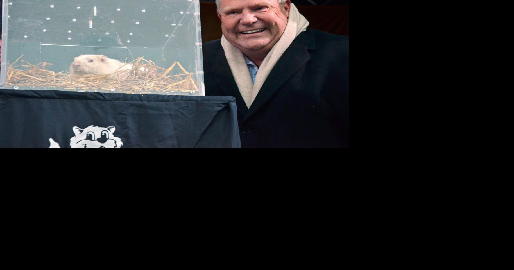 Ontario Groundhog Day 2024 predictions and odds for early spring