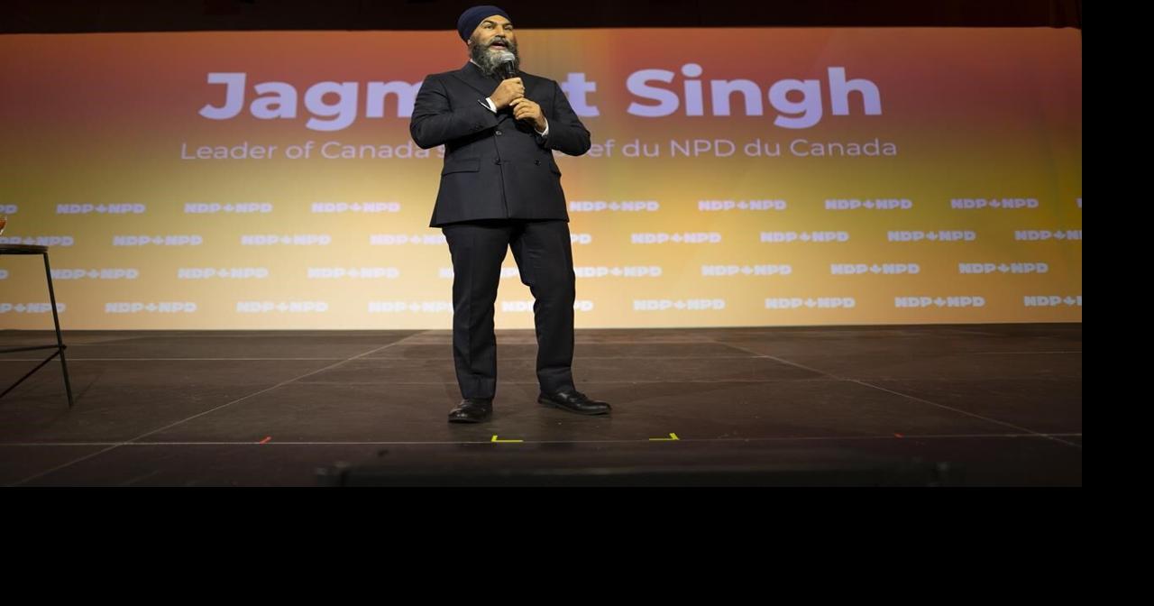NDP to campaign on pharmacare if it backs out of Liberal deal: national ...