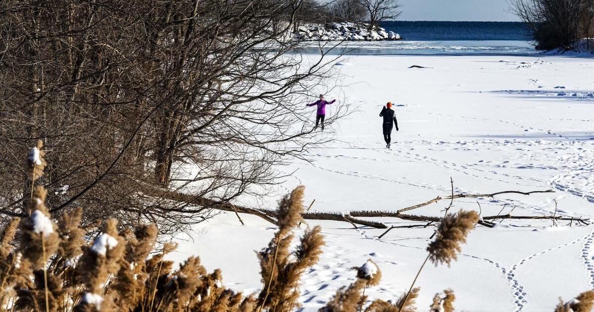 Ontario winter will be cold and stormy: Farmers’ Almanac