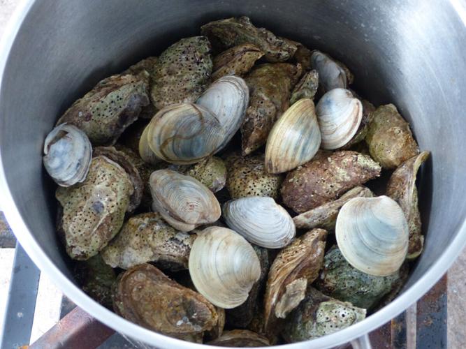 How to go shellfish foraging in P.E.I.
