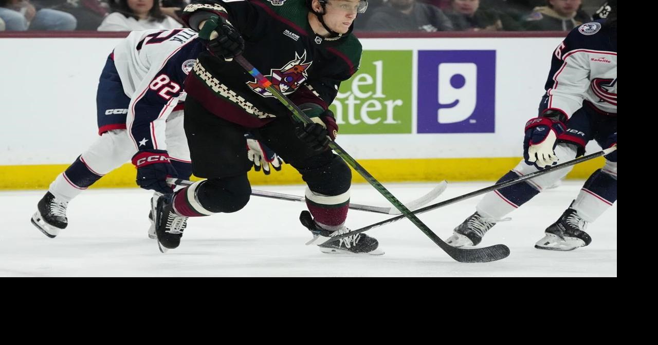 Edmonton Oilers sign defenceman Travis Dermott to professional tryout