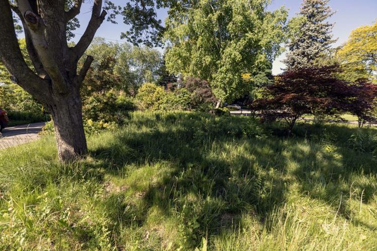 A fight against Mississauga’s lawn laws could mean much more