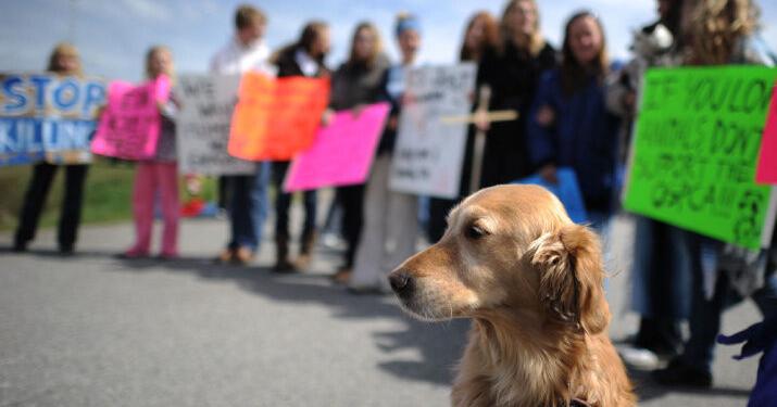 OSPCA fundraiser cancelled over protests