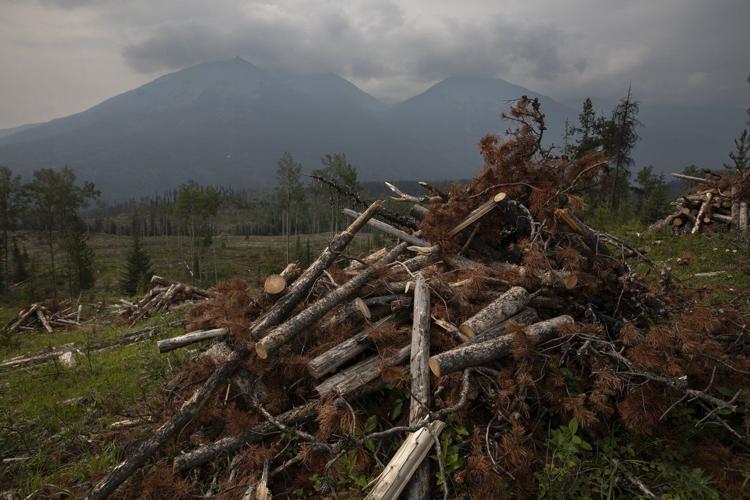 'Fragile': An emotional day for Jasper residents one year after ...