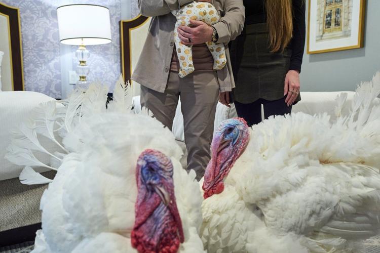Trump spares turkeys — but not his political opponents — at annual ...