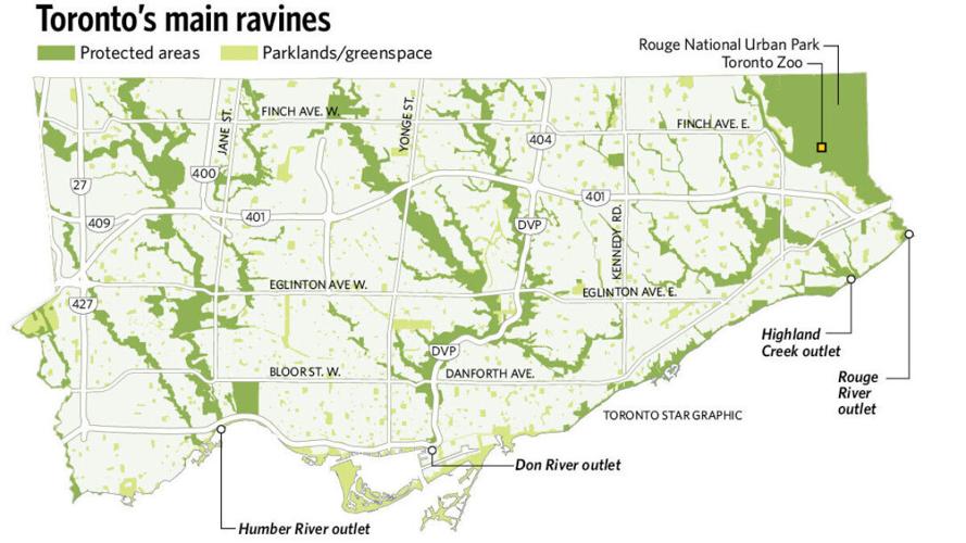 Why our ravines are the city below Toronto