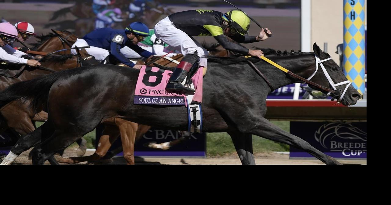 Sierra Leone wins $7 million Breeders' Cup Classic after suffering ...
