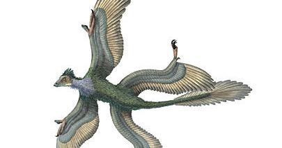 flying dinosaur name