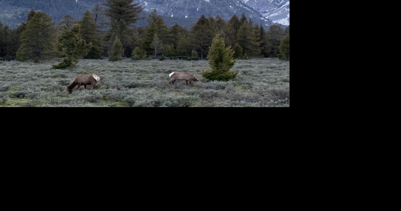 In Grand Teton National Park for a mother-daughter adventure