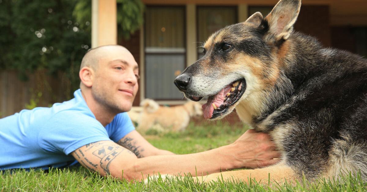 Cloning gives man’s best friend a second chance
