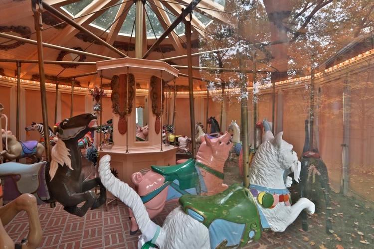 An ostrich in the study, a carousel in the backyard: The wickedly funny ...